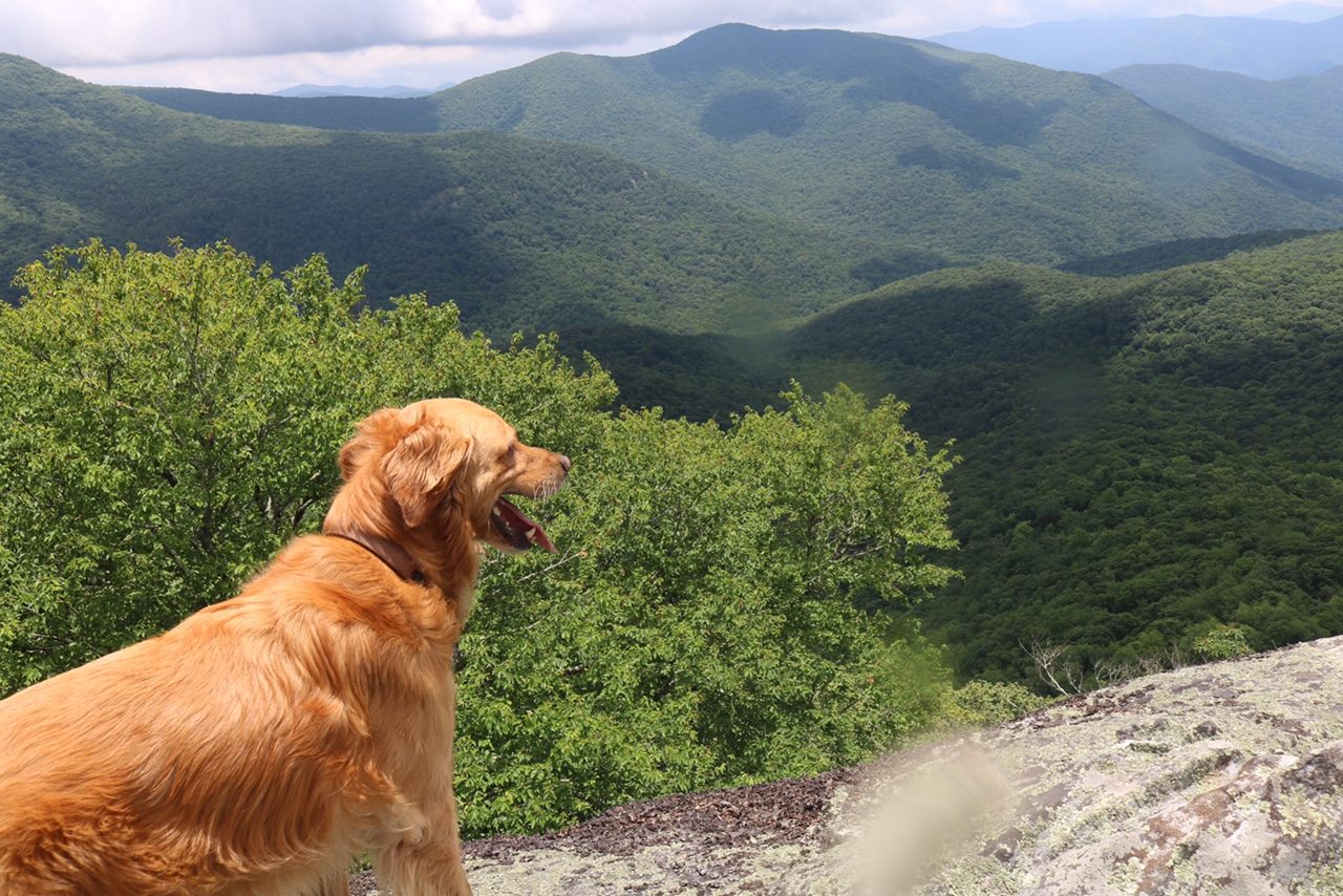 Things To Do – Blue Ridge National Heritage Area